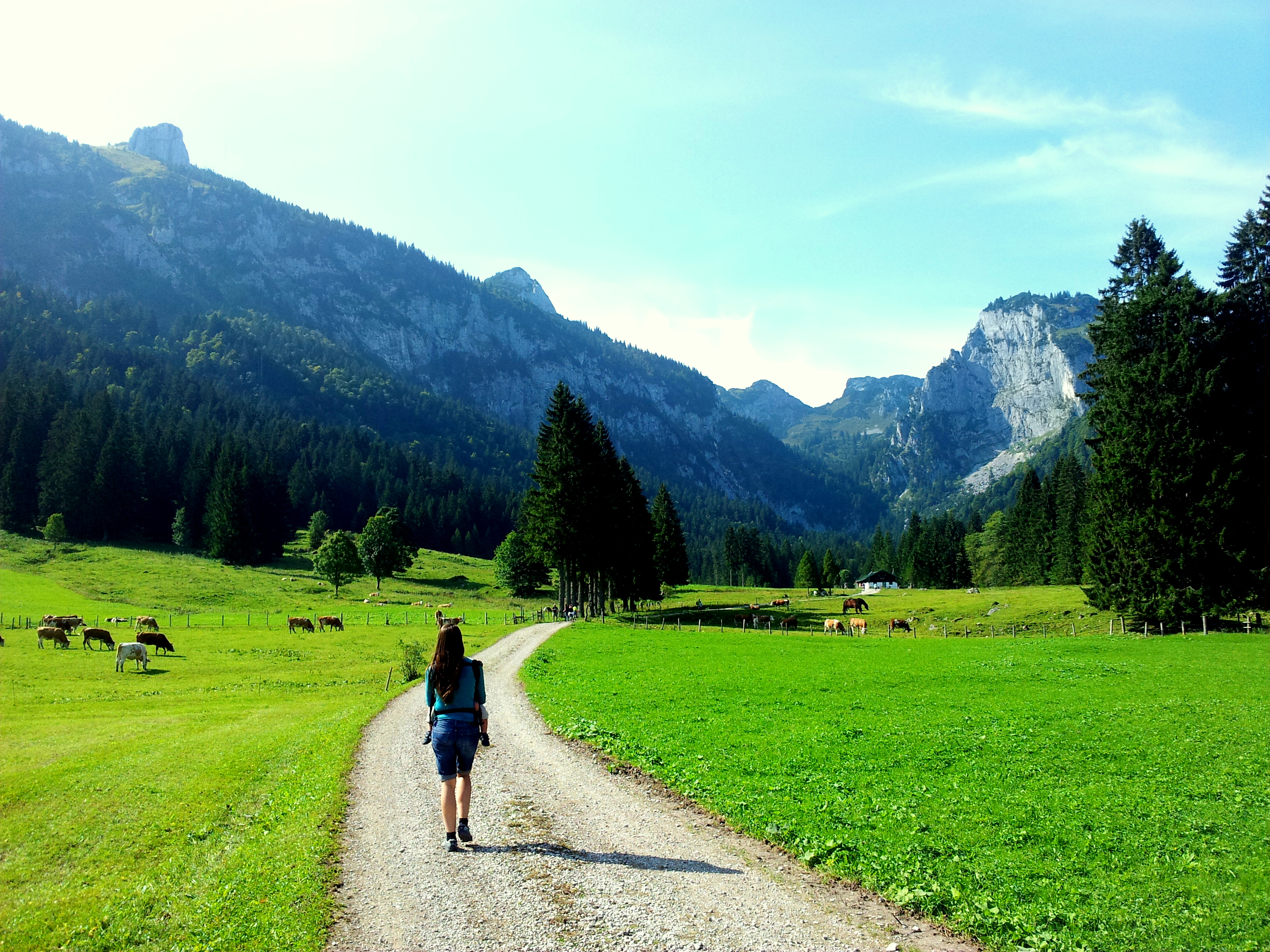 Über das Losgehen und das Ankommen — Aus ganzem Herzen